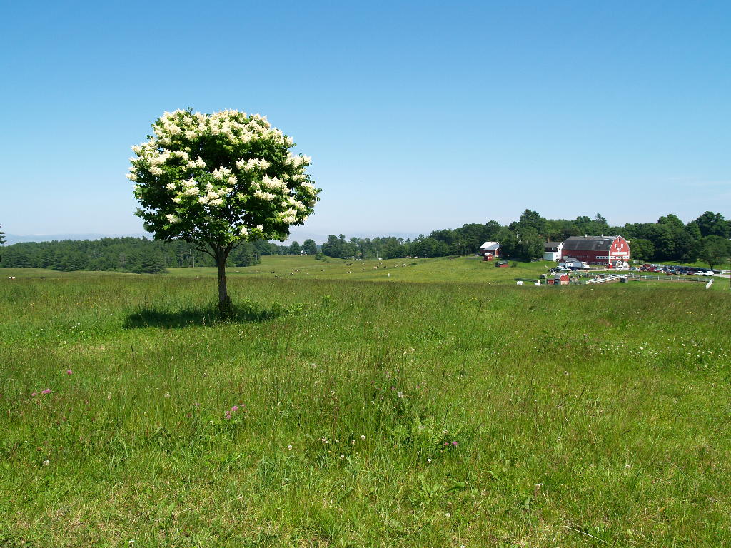Smiling Hill Farm - Home